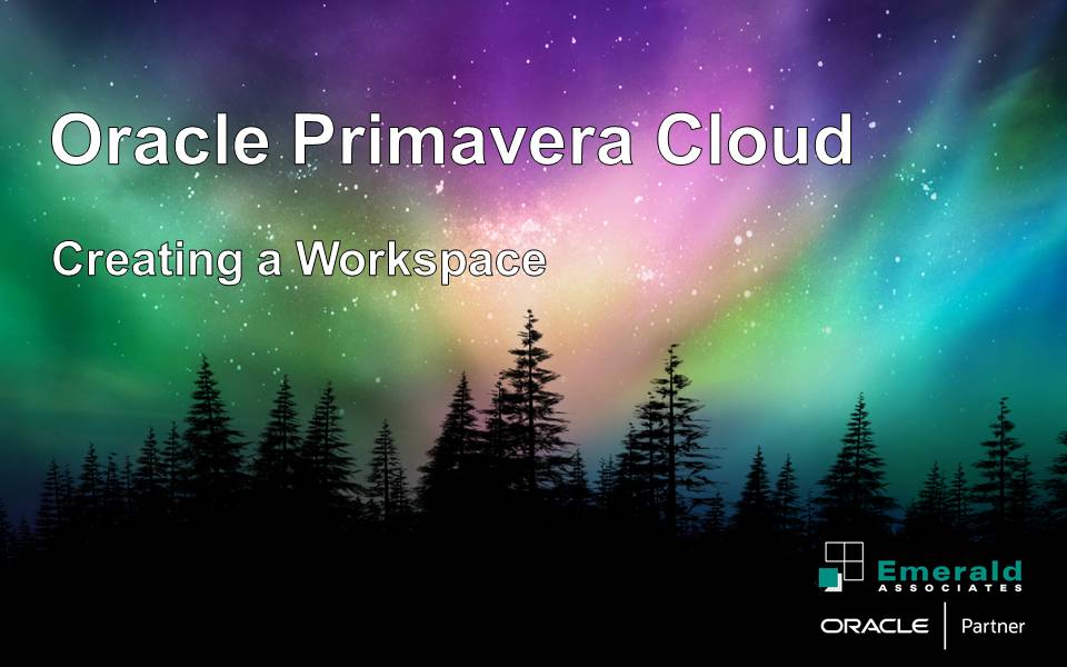 Creating a Workspace in Oracle Primavera Cloud